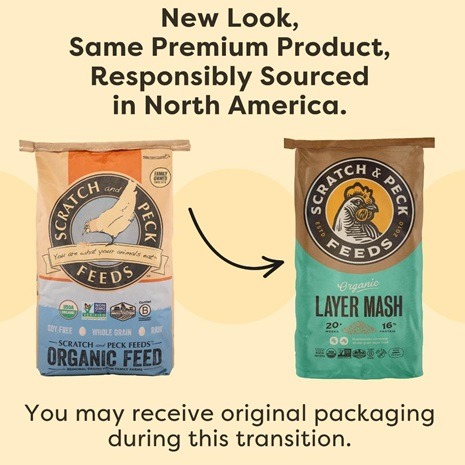 Scratch and Peck Chicken Layer Mash Feed Review - Pure Country Liv'n
